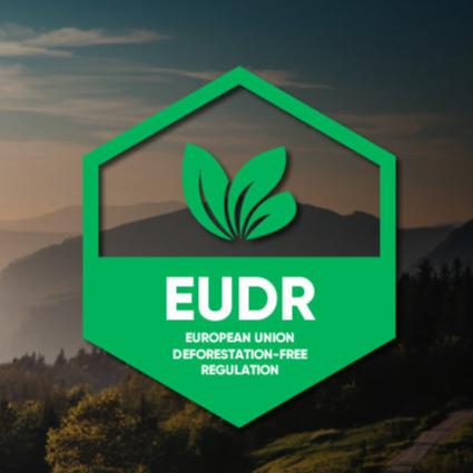 Resources – Interep